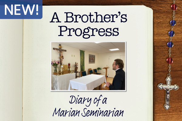The First "Why?" | Marians of the Immaculate Conception