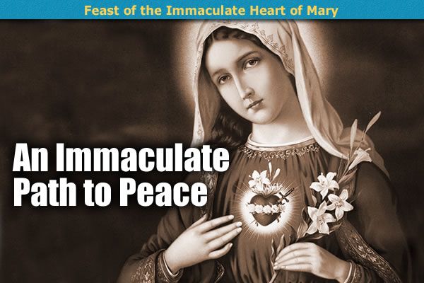 An Immaculate Path to Peace | Marians of the Immaculate Conception