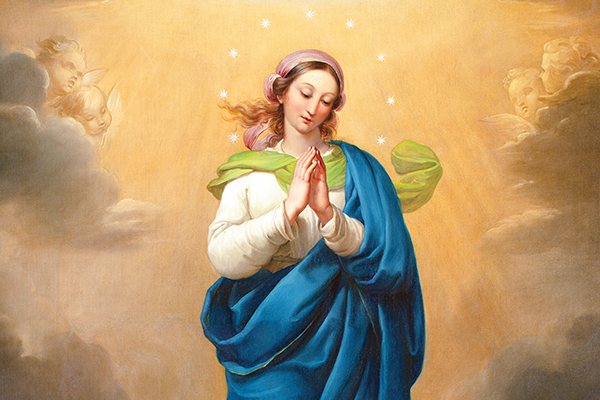 Why We Celebrate the Immaculate Conception | Marians of the Immaculate ...